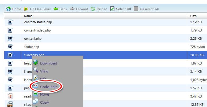Cómo Editar Archivos en WordPress Correctamente — WPBody